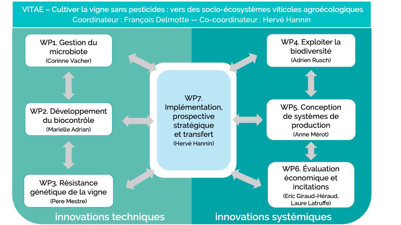 Projects – Corinne VACHER, PhD